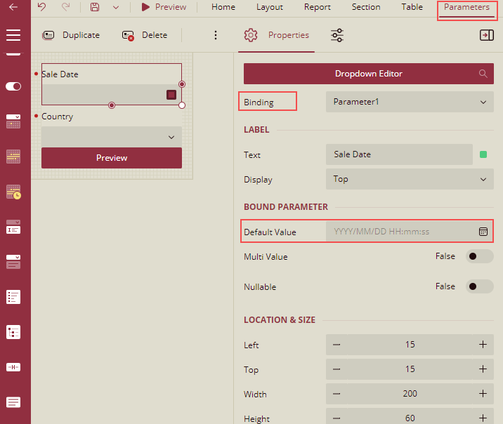 Format Date/DateTime Parameters | Wyn Documentation